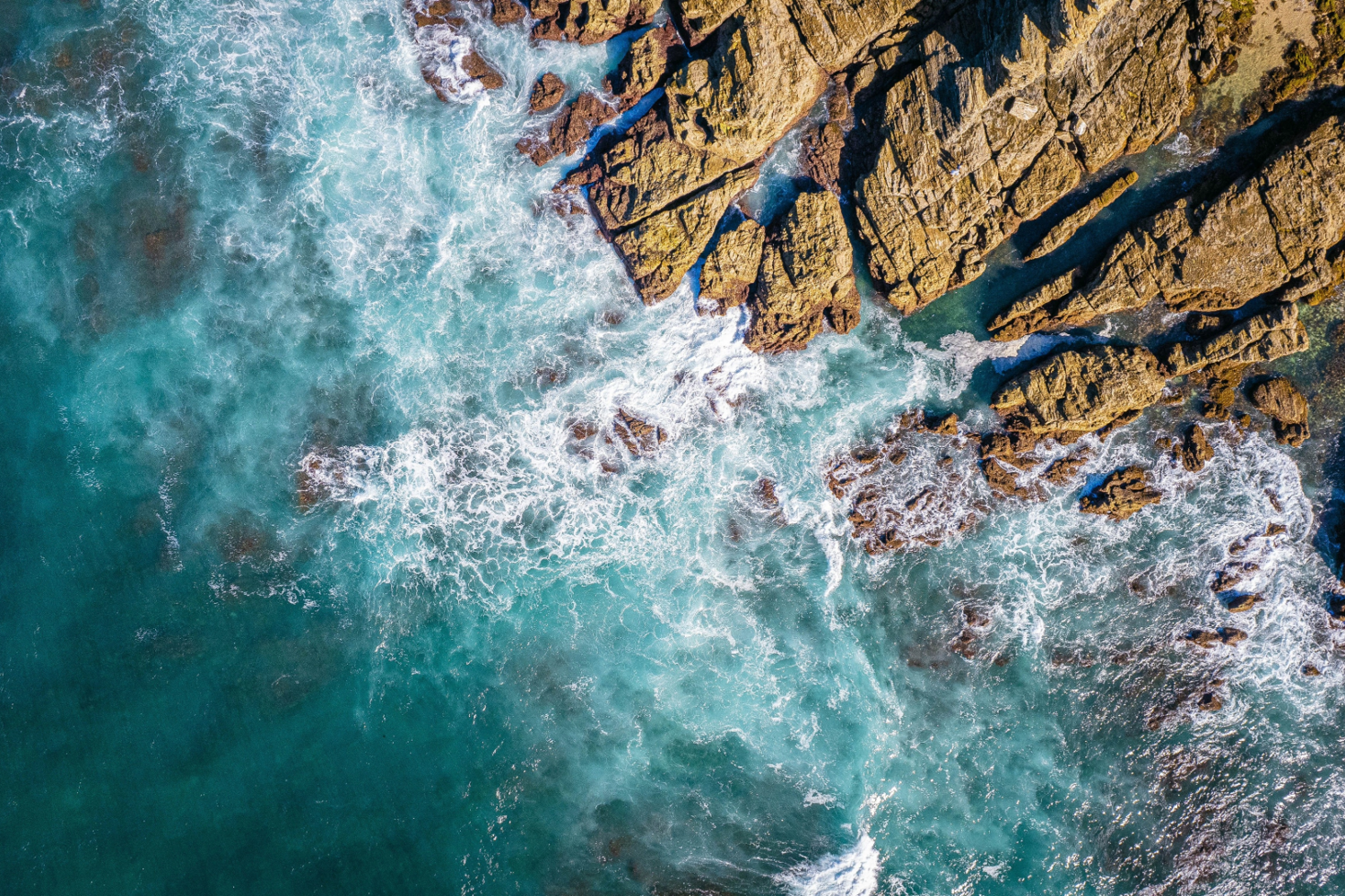 Wave Season Explained: Best Time to Book a Cruise? | CYCI